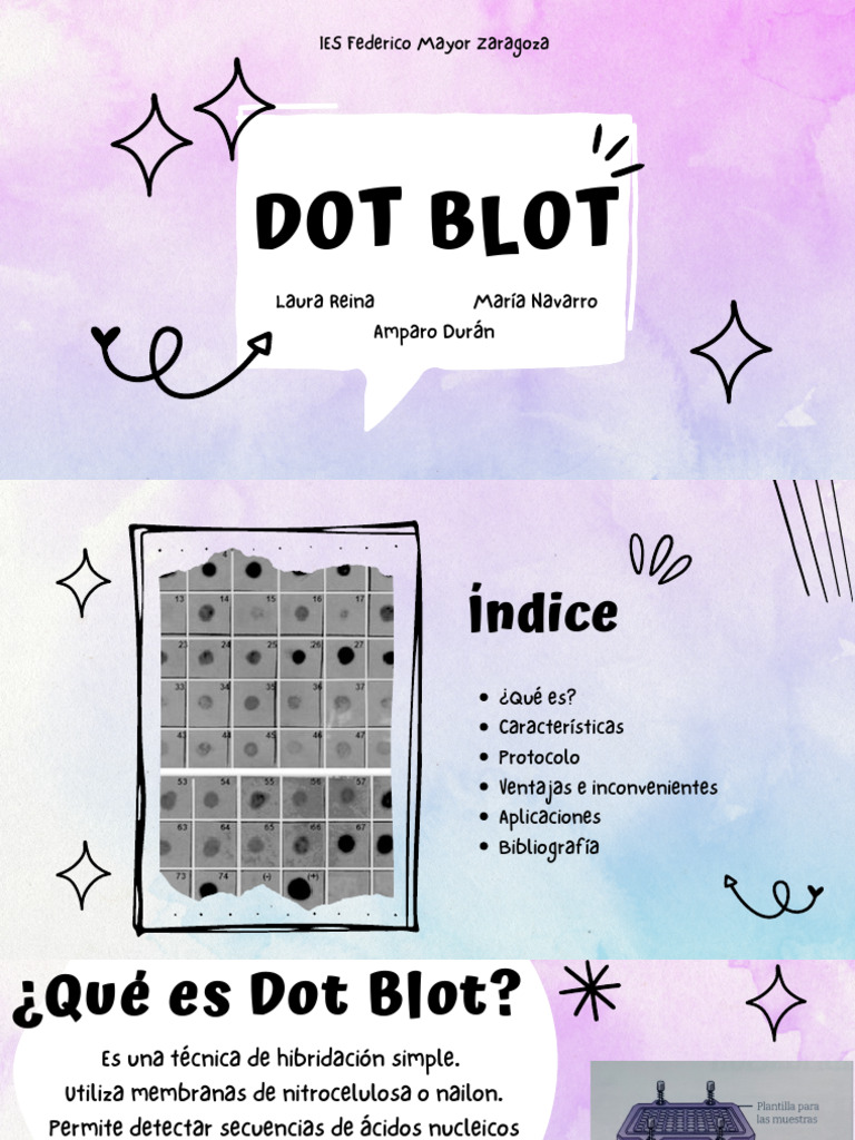 Técnica Dot Blot: Hibridación de ADN/ARN | PDF | Hibridación de ácido ...