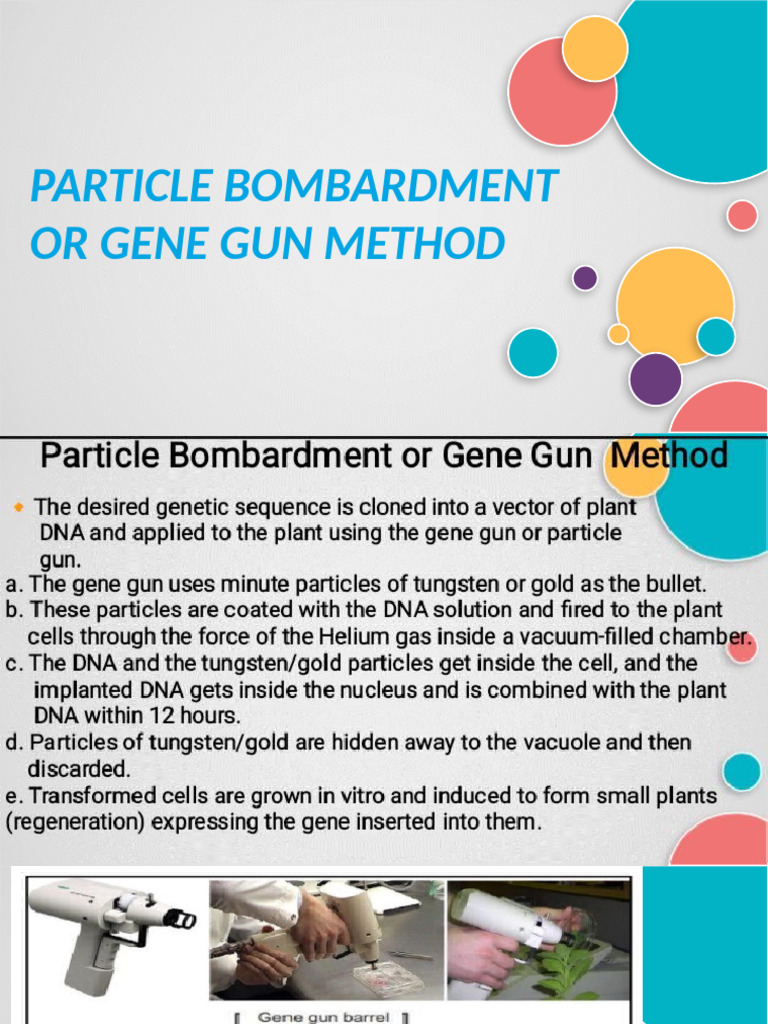 PARTICLE Bombardments | PDF