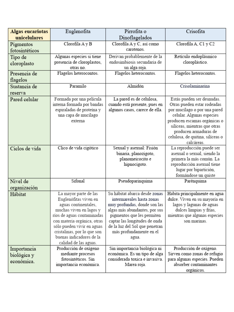 Algas Eucariotas Unicelulares. 3.2 | PDF | Cloroplasto | Algas