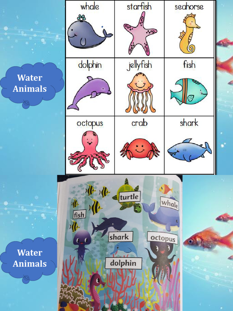 Water Animals | PDF