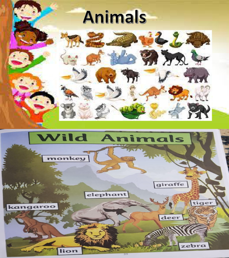 Wild Animals | PDF