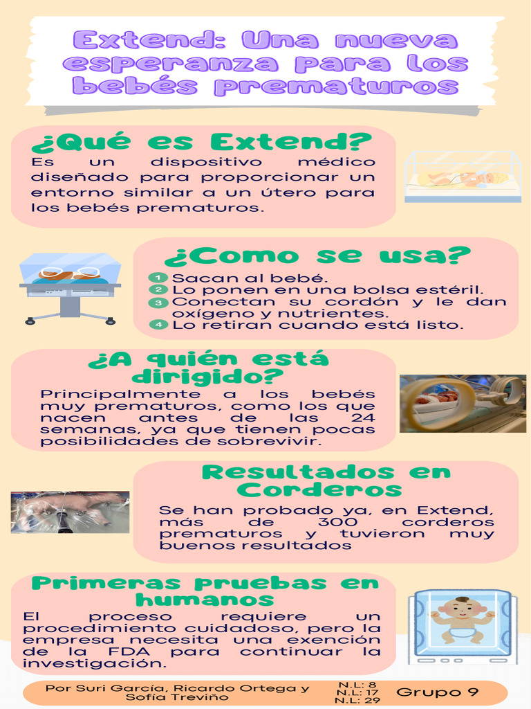 Infografía Español Extend | PDF