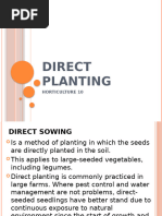 Direct Planting Methods for Vegetables | PDF | Seed | Sowing