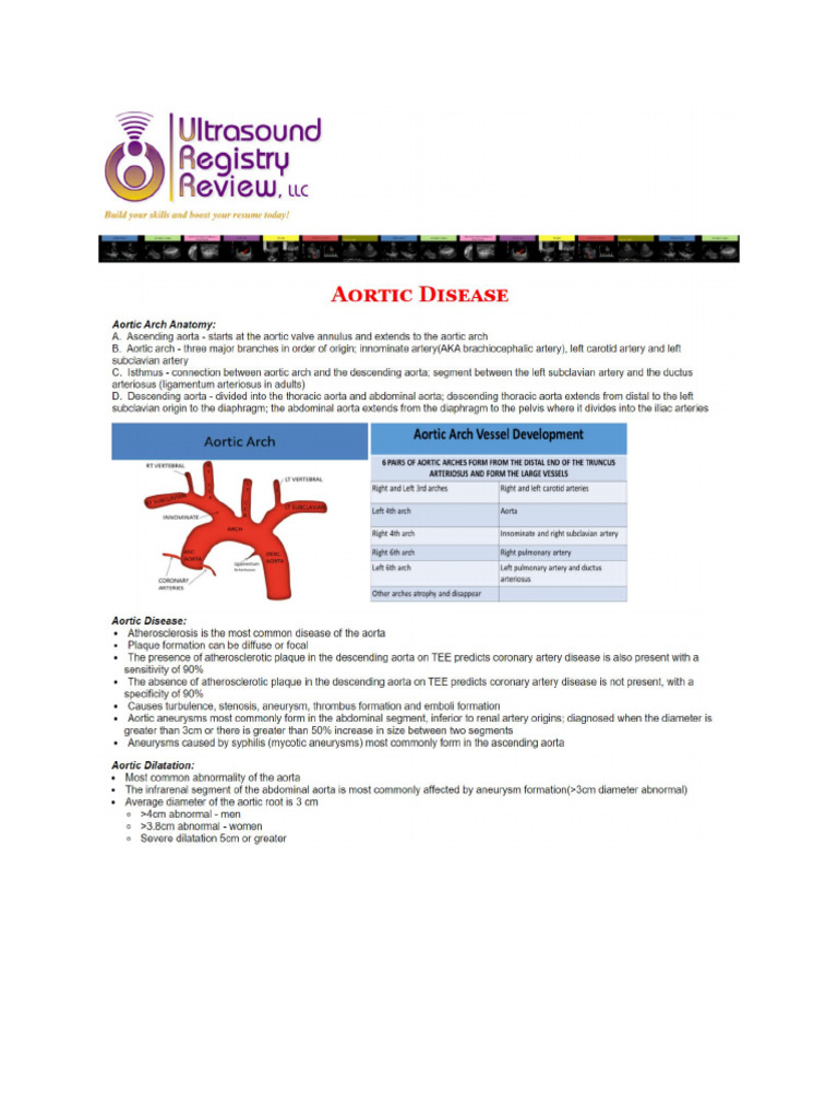 USRR abnormalities of the aorta | PDF