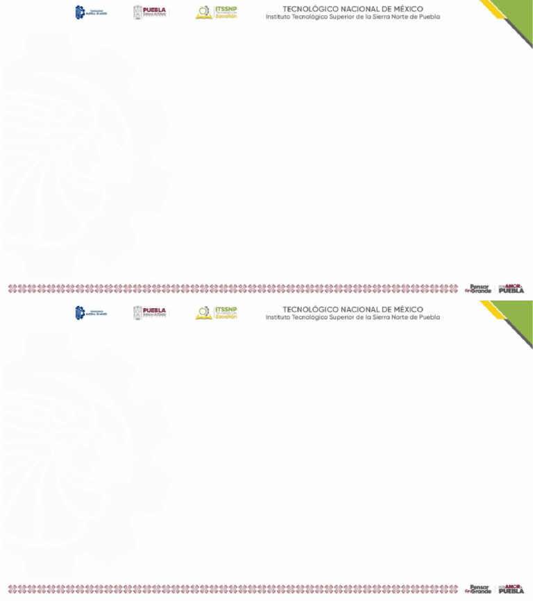ITSSNP Diapositivas2025 | PDF