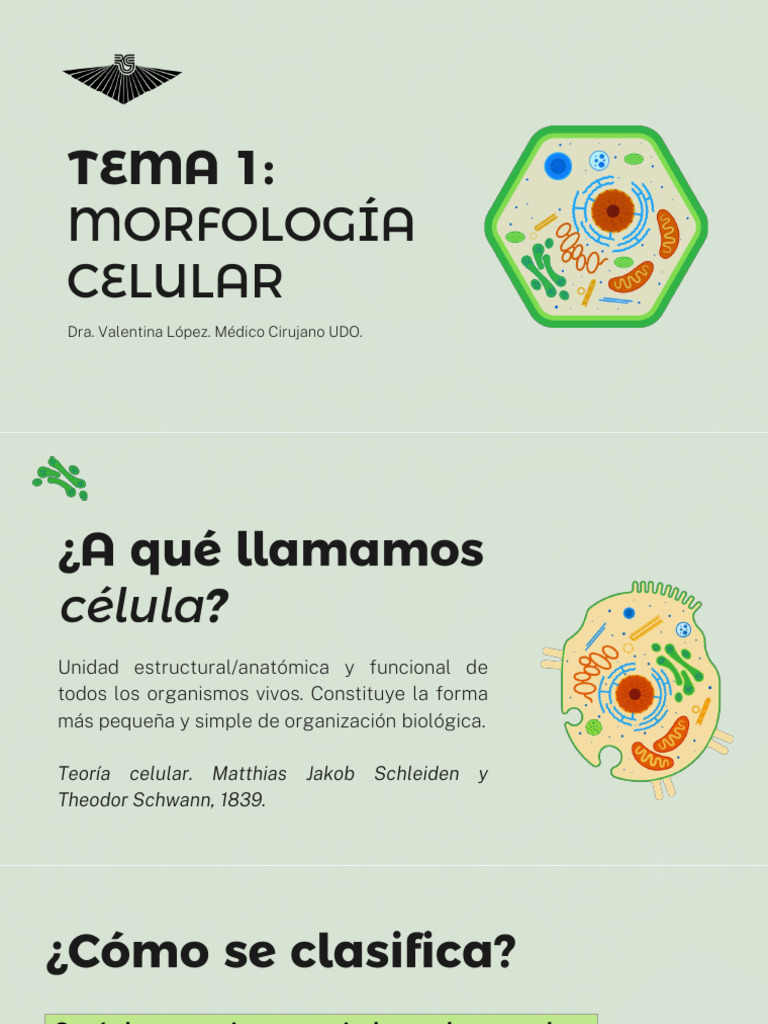 Introducción a la Biología Celular | PDF | Biología Celular) | Membrana celular