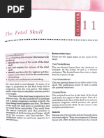 Fetal Skull Diameter Measurements | PDF