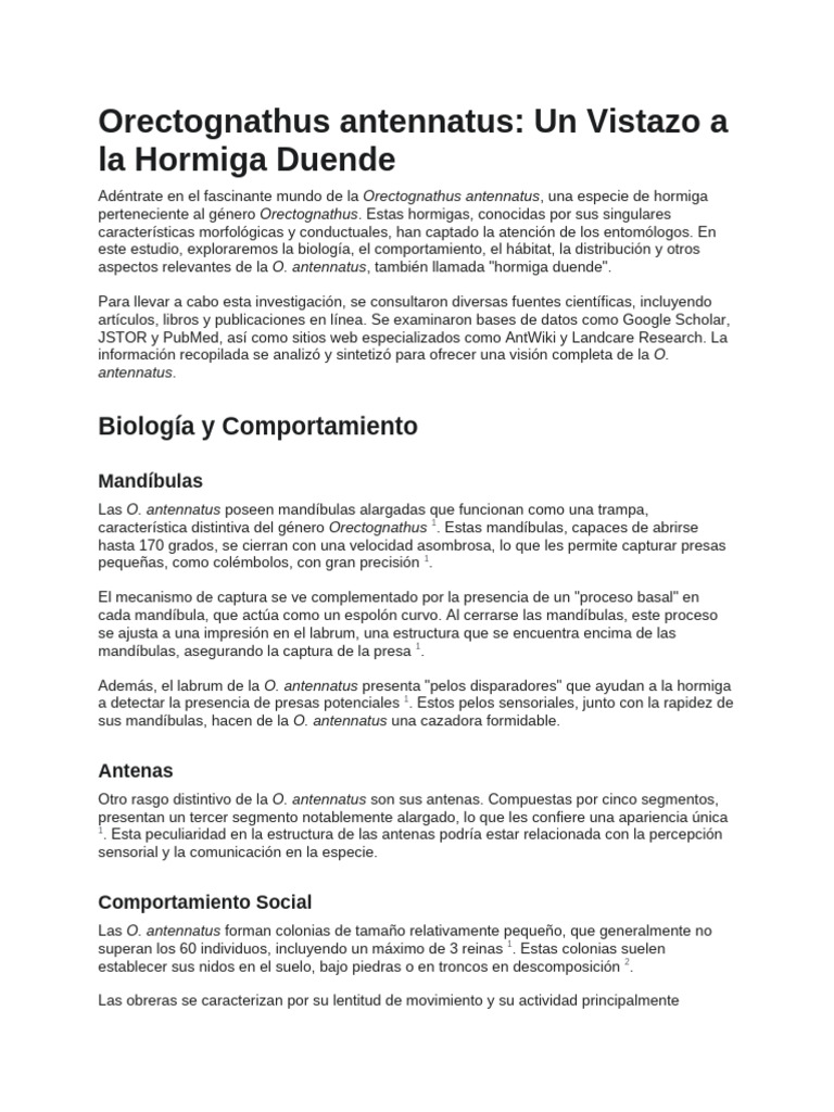 Biología y Hábitat de Orectognathus antennatus | PDF | Hormiga | Los ...