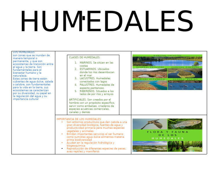 Importancia y Tipos de Humedales | PDF