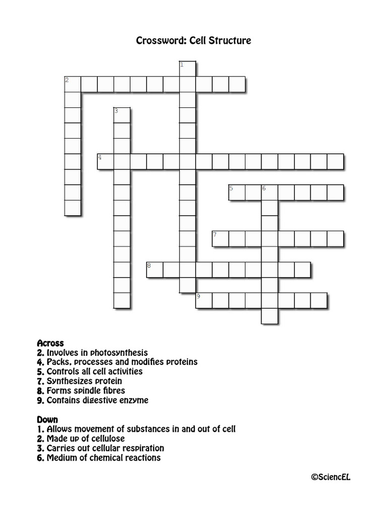 Crossword Puzzle: Cell Structure | PDF