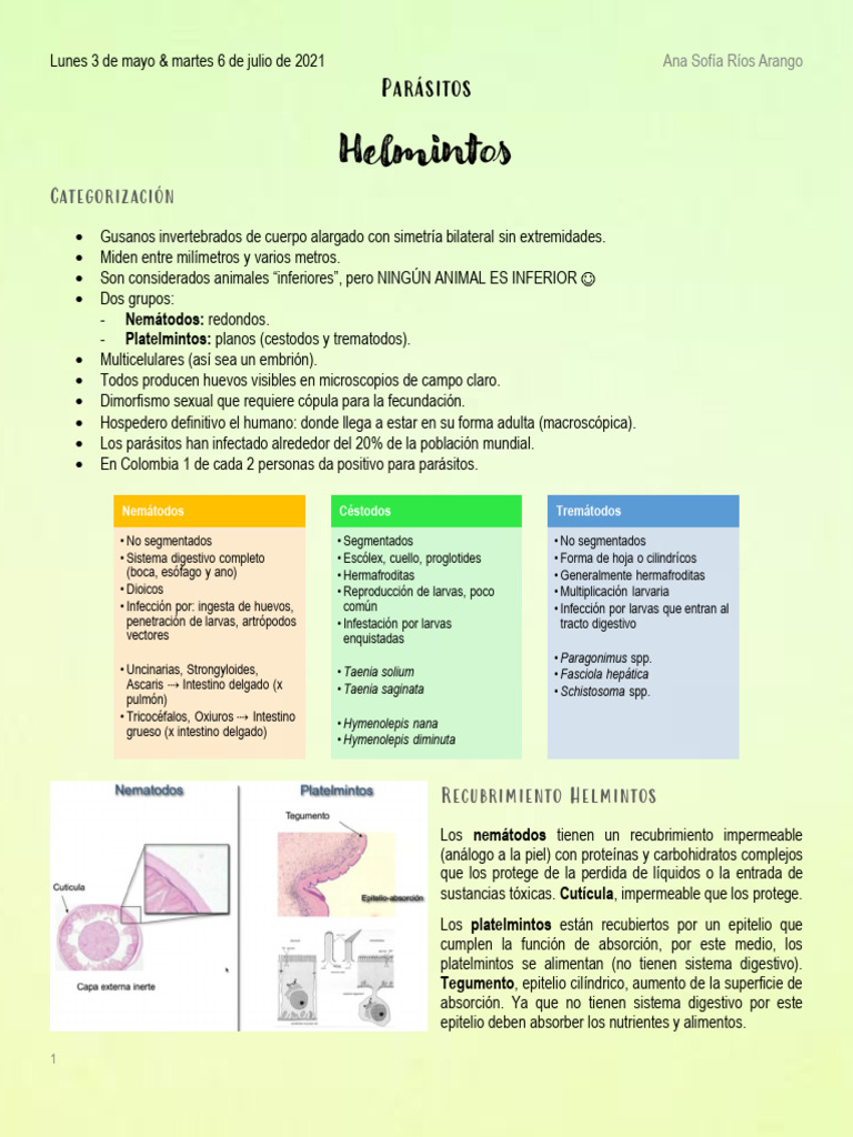 Helmintos: Parásitos Intestinales | PDF | Especialidades Medicas