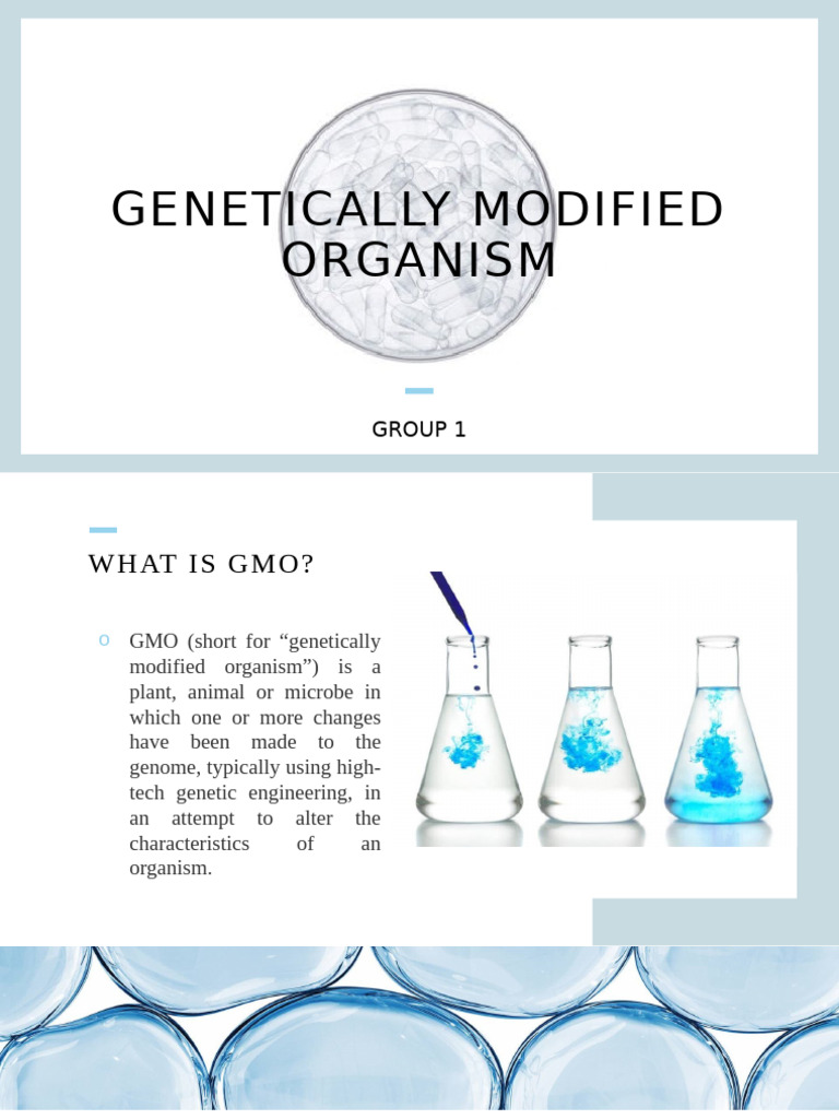 Genetically Modified Organism 1st PT | PDF | Genetically Modified ...