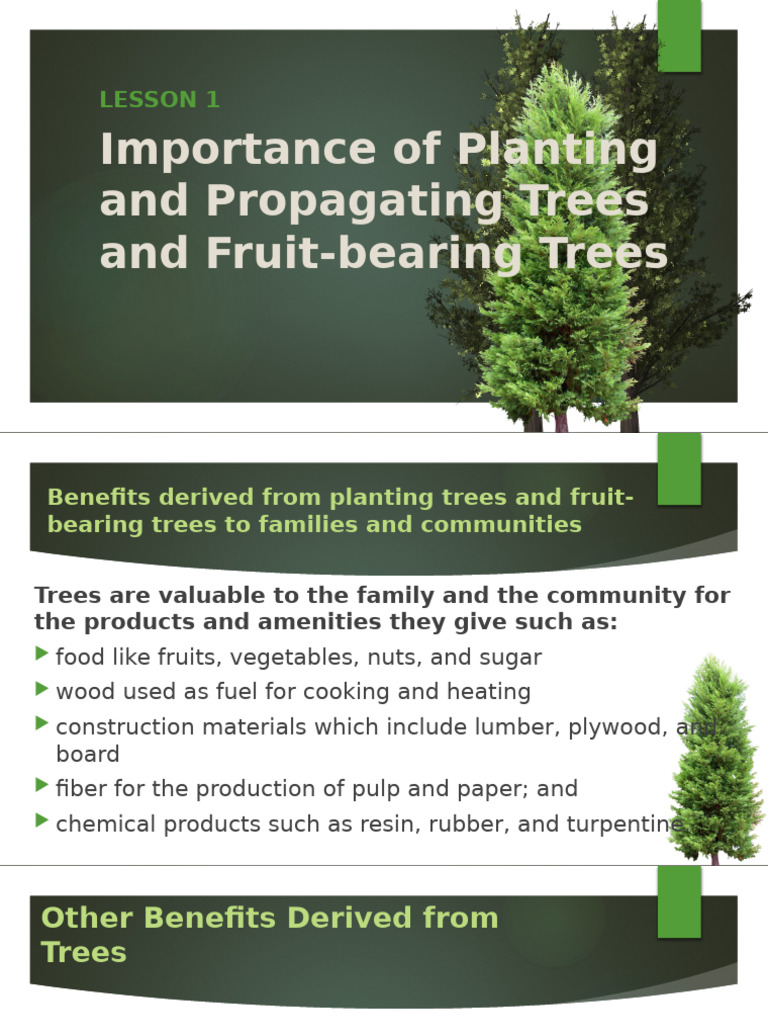 Benefits of Planting Trees and Fruits | PDF | Trees | River