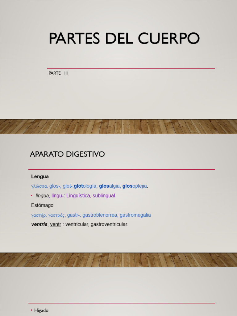 Partes Del Cuerpo. Parte III | PDF