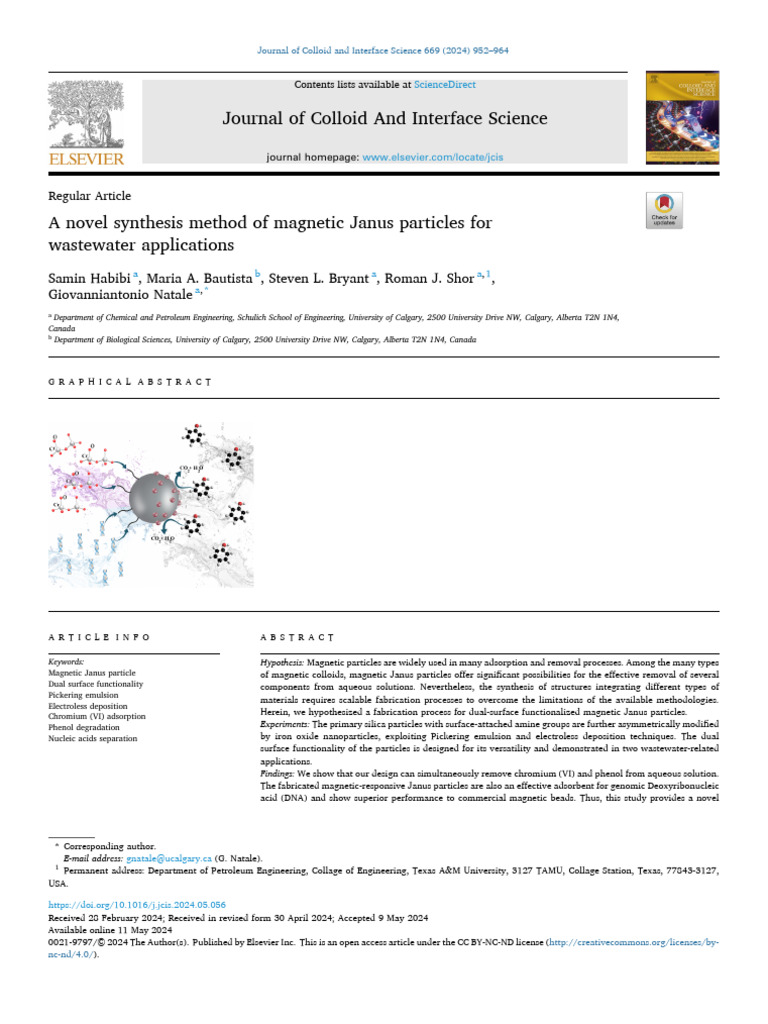 A Novel Synthesis Method of Magnetic Janus Particles For Wastewater Applications | PDF ...