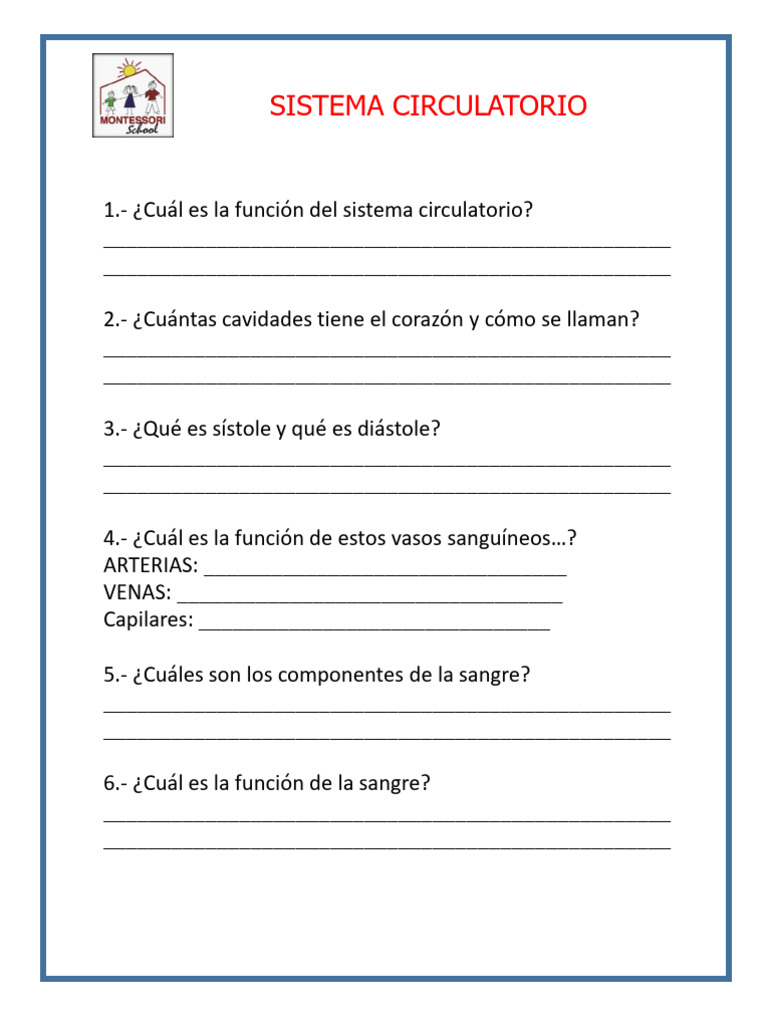 4° 5° 6° CIRCULATORIO Actividad | PDF