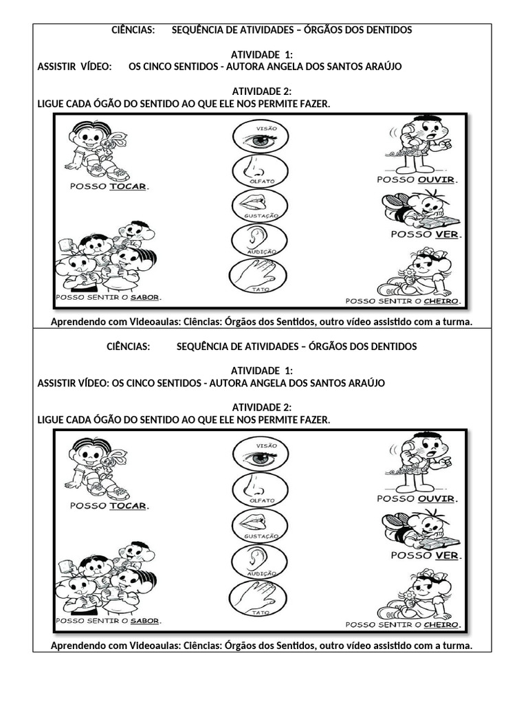 Ciências Orgãos Do Sentido | PDF