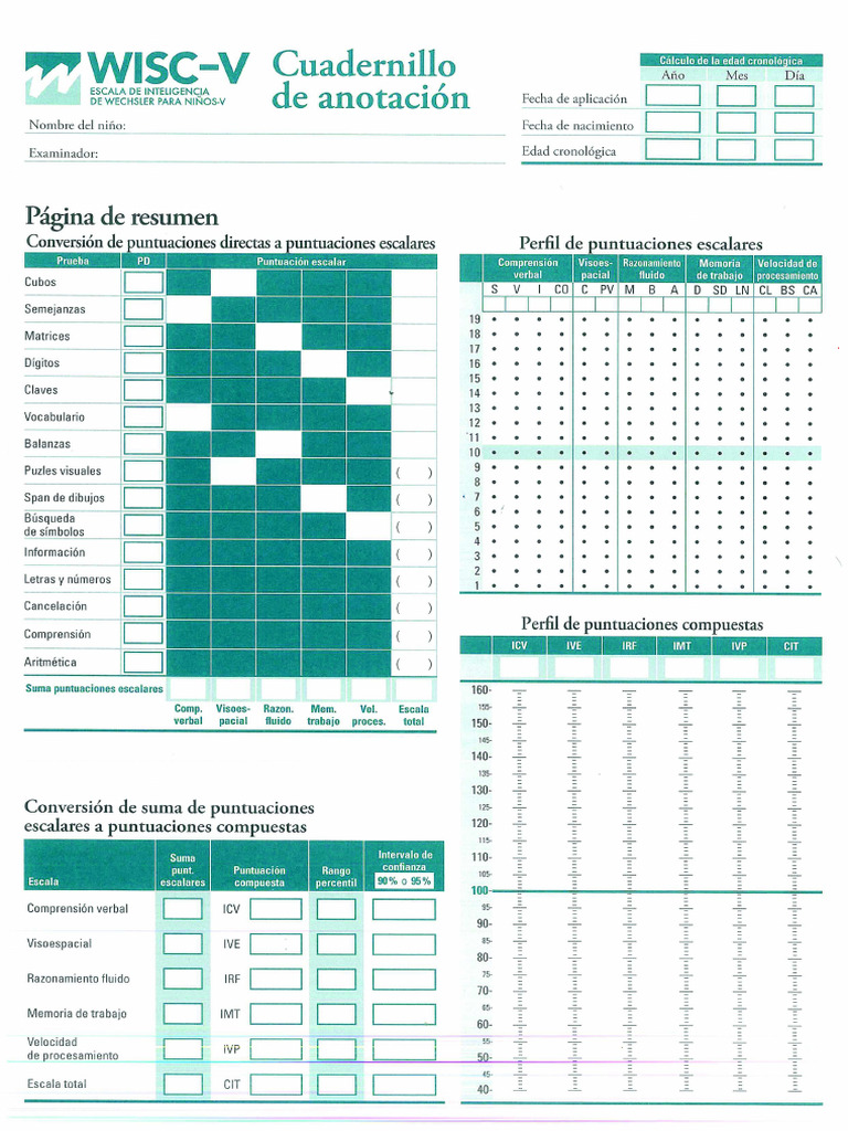 Protocolo+Wisc+V | PDF