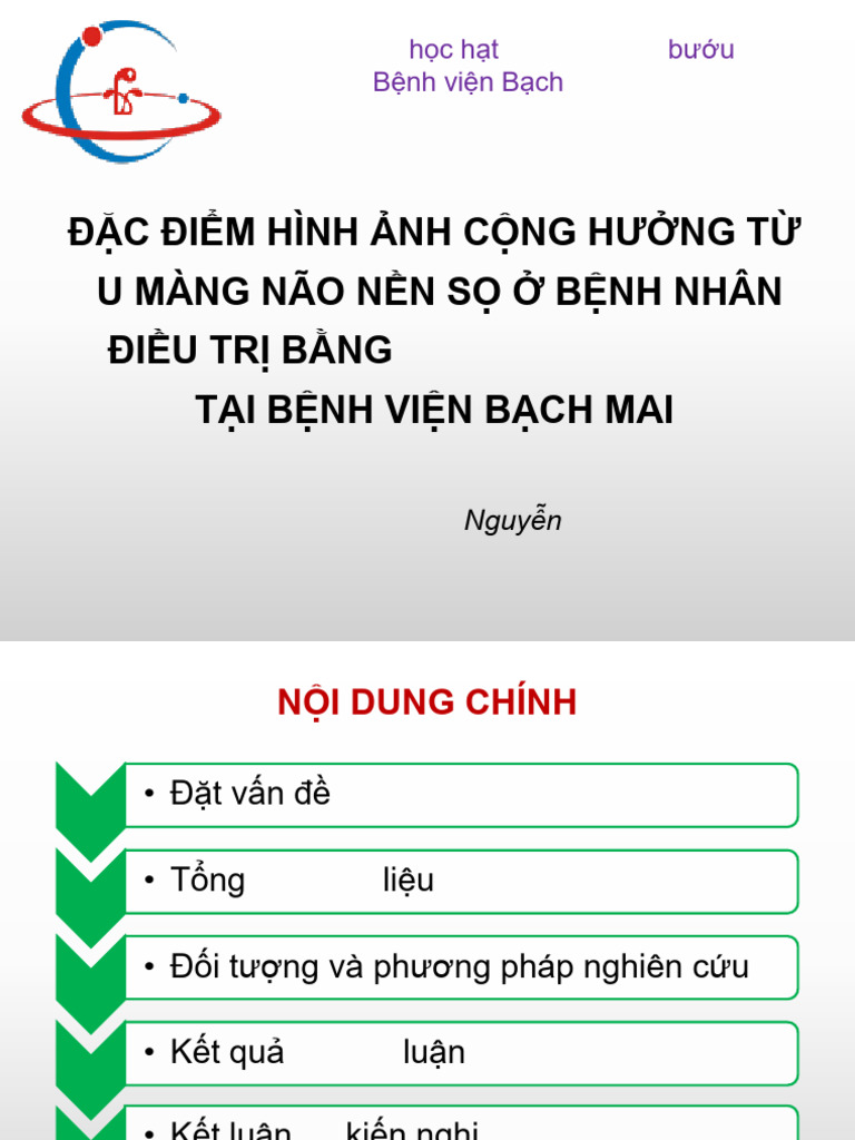 YHHN 3. Nguyen Thanh Hung. Hinh Anh CHT U Mang Nao | PDF