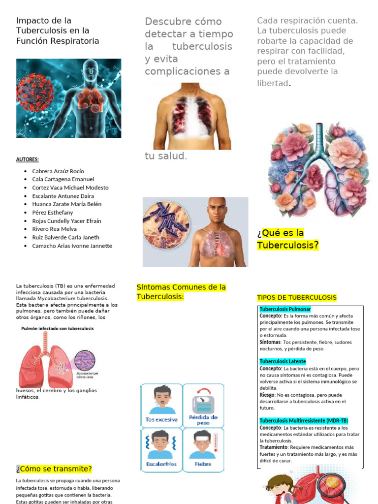 TRIPTICO TUBERCULSOSI | PDF | Tuberculosis | Enfermedades animales