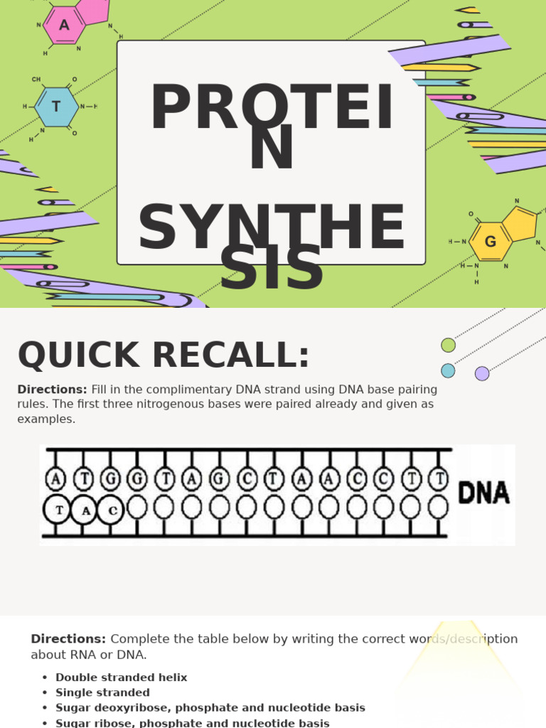 Protein Synthesis Overview and Activities | PDF | Translation (Biology ...