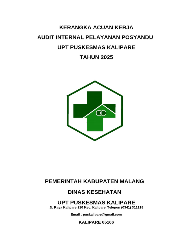 Kerangka Acuan Kerja Audit Posyandu | PDF