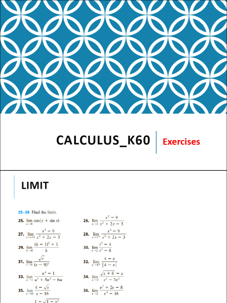 Calculus_Exercises | PDF