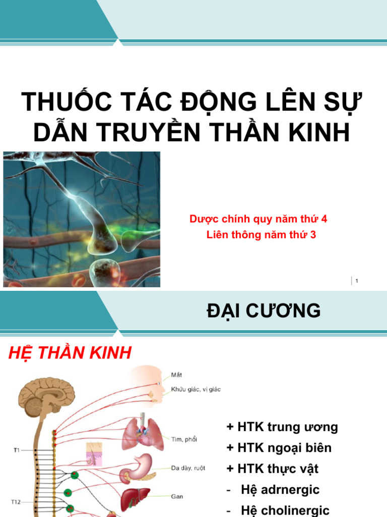 3 Thuoc Tac Dong Len Dan Truyen TK Note | PDF