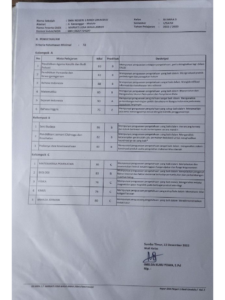Raport SMA 2023 (1) | PDF