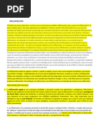 Fases de la Inflamación en PDF | PDF | Inflamación | Inmunología