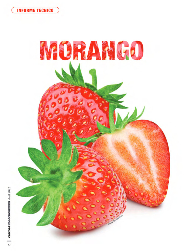 CULTIVO DE MORANGO | PDF