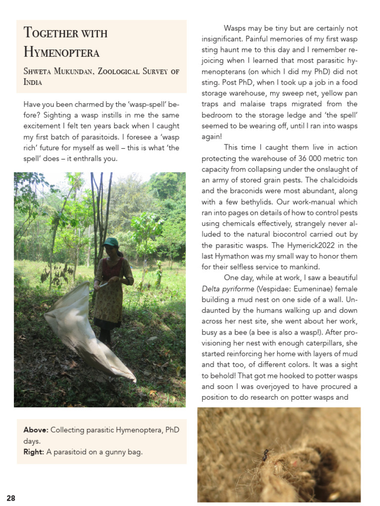 Hamuli_Winter_2023_layout-28-32 | PDF | Wasp | Bees