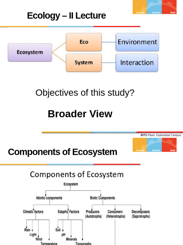 Energyflow Biogeochemical Cycles | PDF | Ecosystem | Food Web