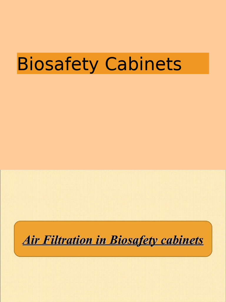 Essential Guide to Biosafety Cabinets | PDF