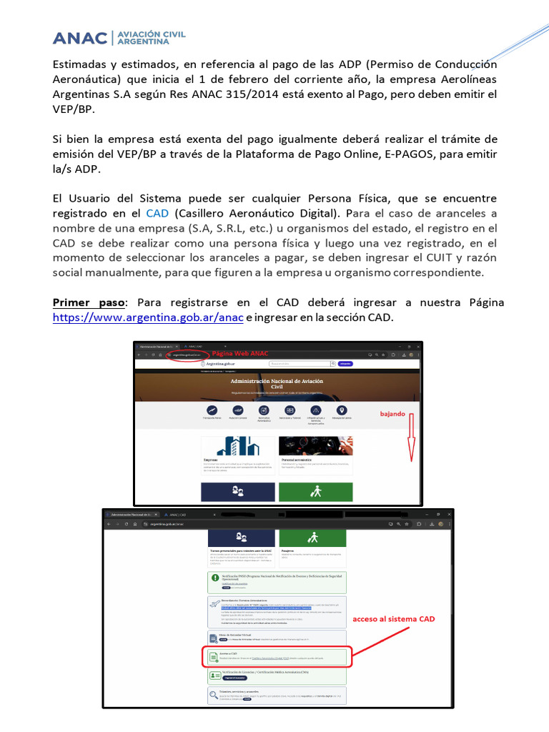 Resumen Instructivo E-Pagos Exención (Adp) | PDF | Informática
