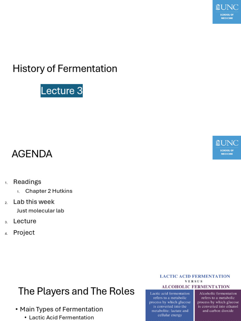 Lecture 3 | PDF | Drink | Fermentation