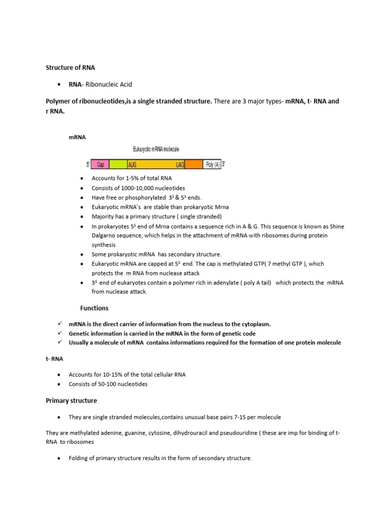 Structure of RNA | PDF | Rna | Messenger Rna