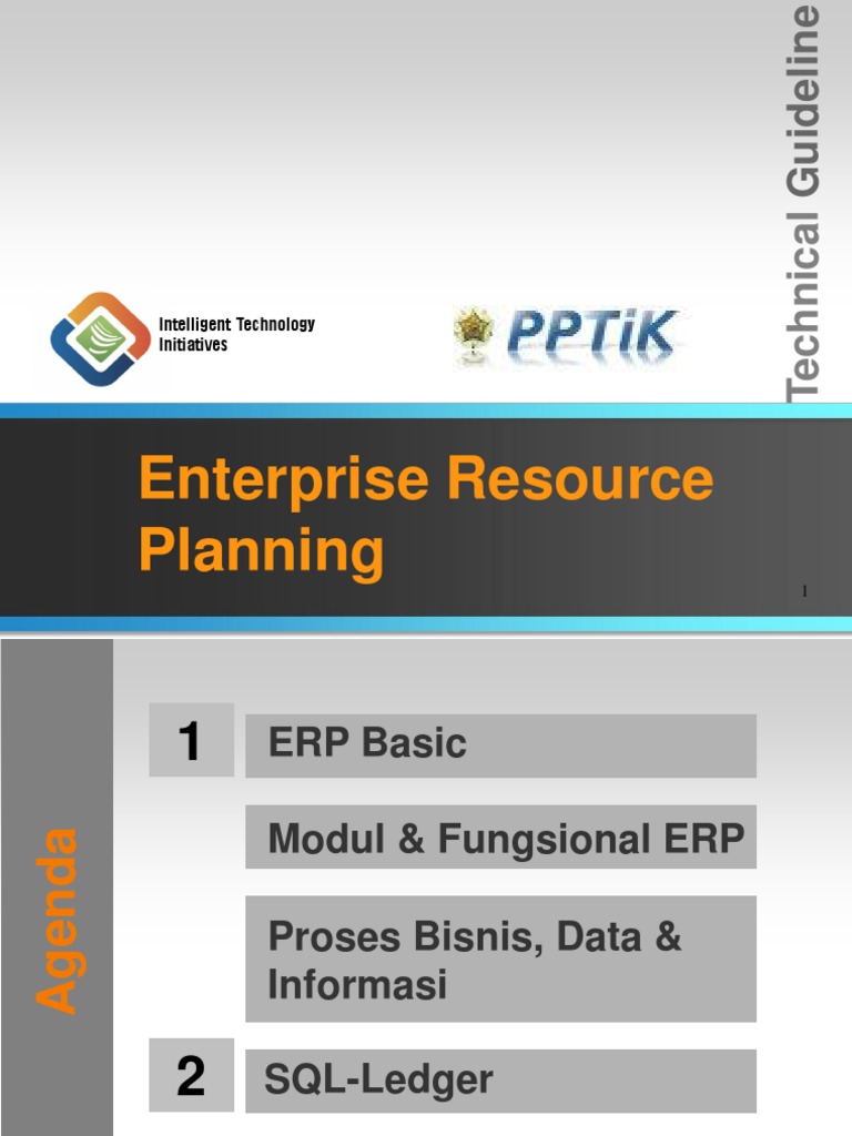 ERP Basics and Functionalities Overview | PDF