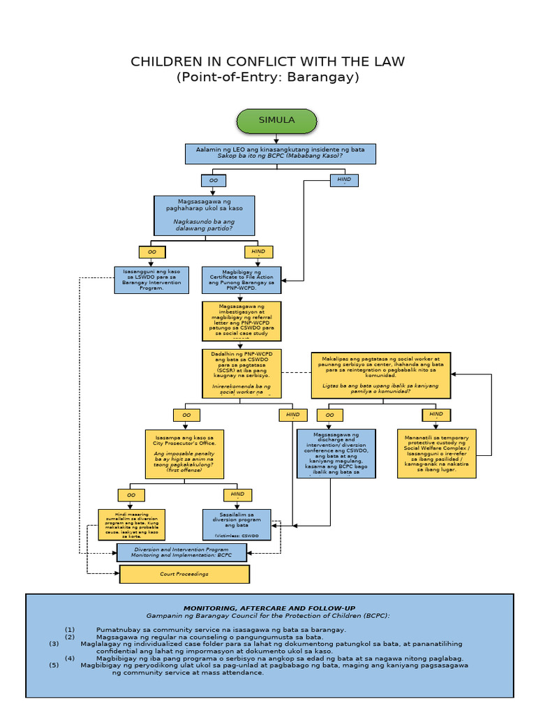 CHILDREN IN CONFLICT WITH THE LAW - Flowchart | PDF