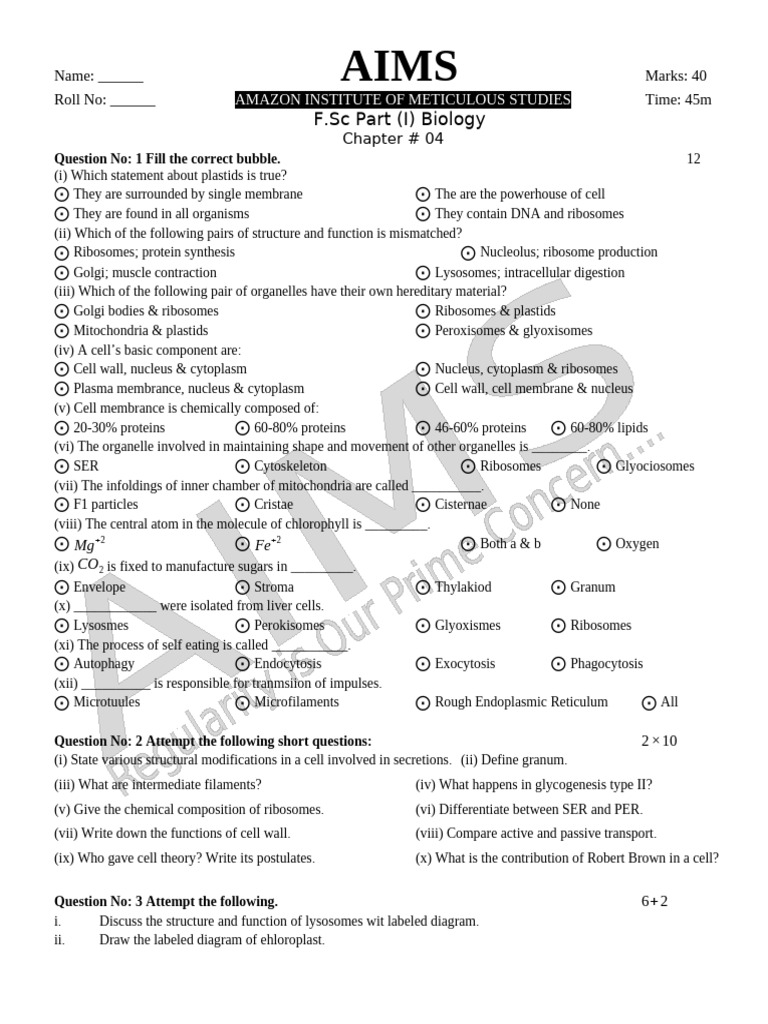 Biology Chapter 4 Test Overview | PDF | Cell (Biology) | Cytoplasm