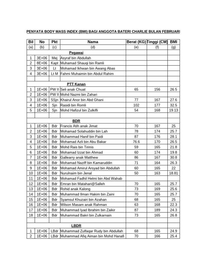 Penyata BMI Bti Charlie | PDF