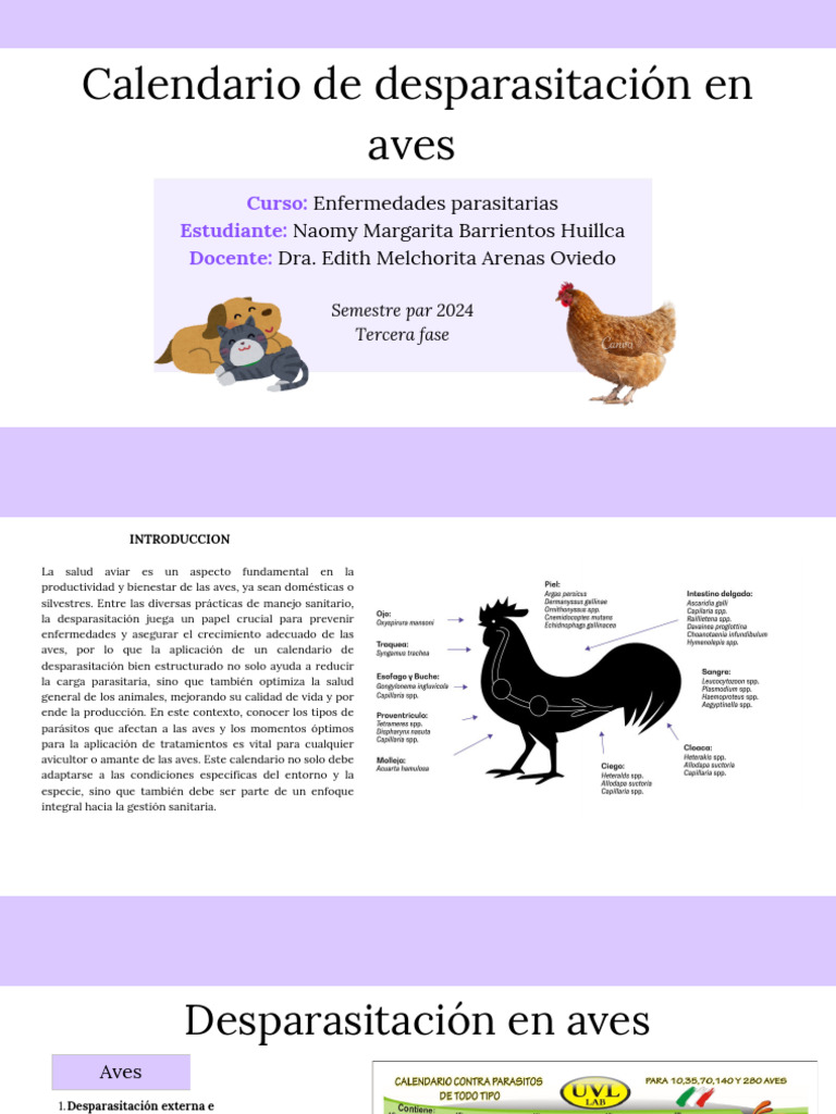 Calendario de Desparasitación en Aves | PDF | Parasitismo | Aves