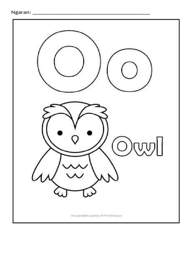 Color Oo Coloring Activity Worksheet | PDF