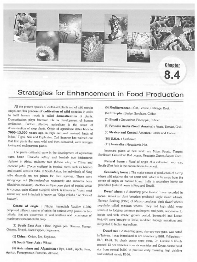 Food Production | PDF