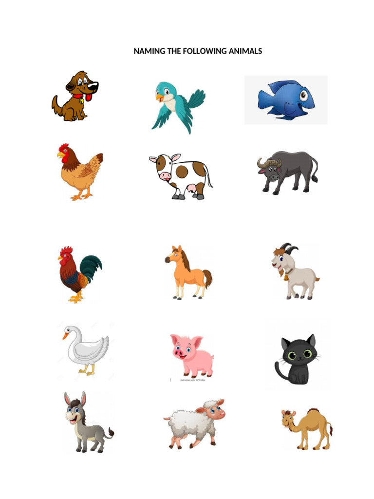 Naming The Following Animals | PDF