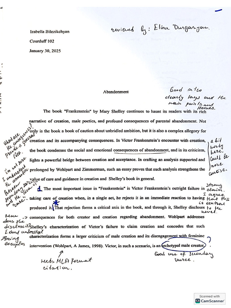 Essay Annotations | PDF