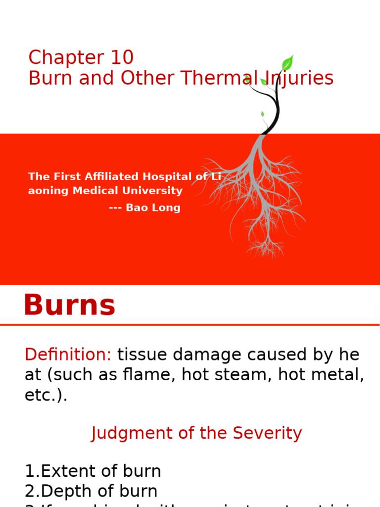 Understanding Burn Severity and Treatment | PDF | Burn | Skin