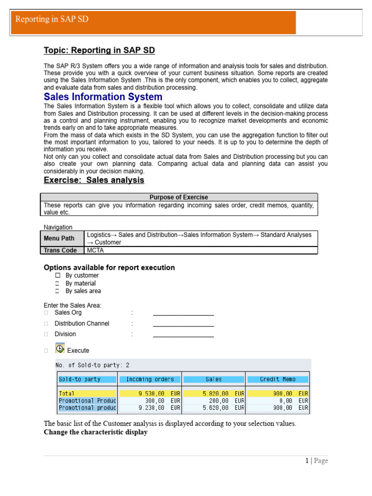 SAP SD Reporting Guide and Analysis Tools | PDF | Logistics | Information