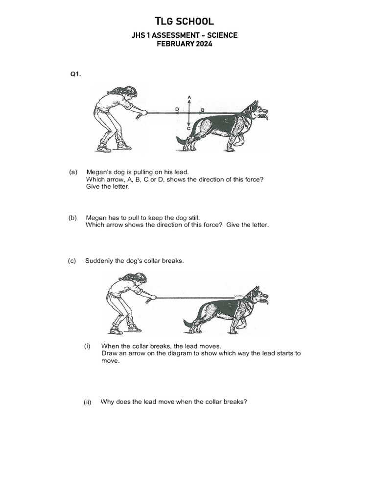 Force Work, Power and Energy - Questions | PDF | Force | Kinetic Energy