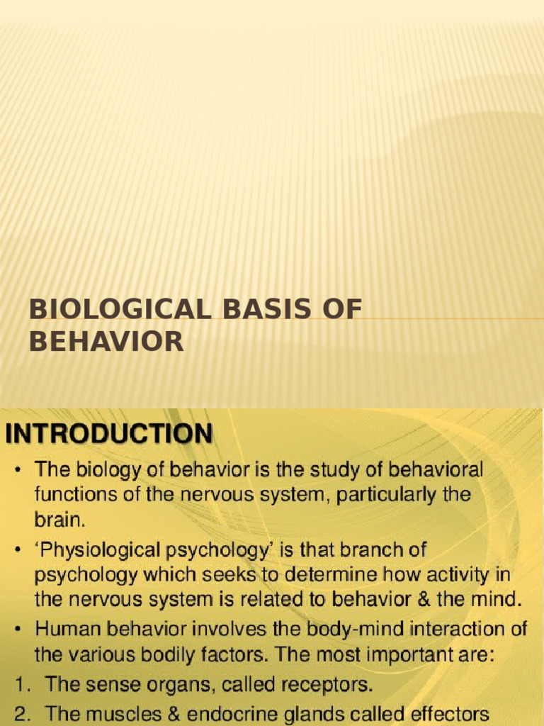 A Compliation - Biological Basis | PDF | Endocrine System | Cerebral Cortex